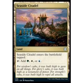 Seaside Citadel