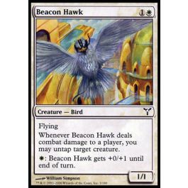 Beacon Hawk