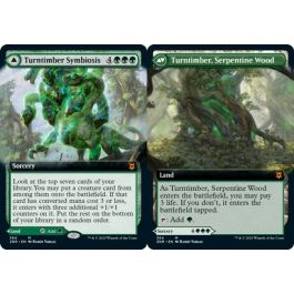 Turntimber Symbiosis // Turntimber (Extended Art)