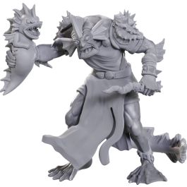 Dungeons & Dragons: W24: Sahuagin Priestess